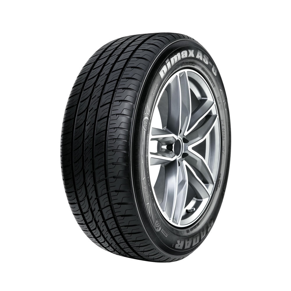 Radar Dimax AS-8 225/40R18 92W XL - Shop EWWFL